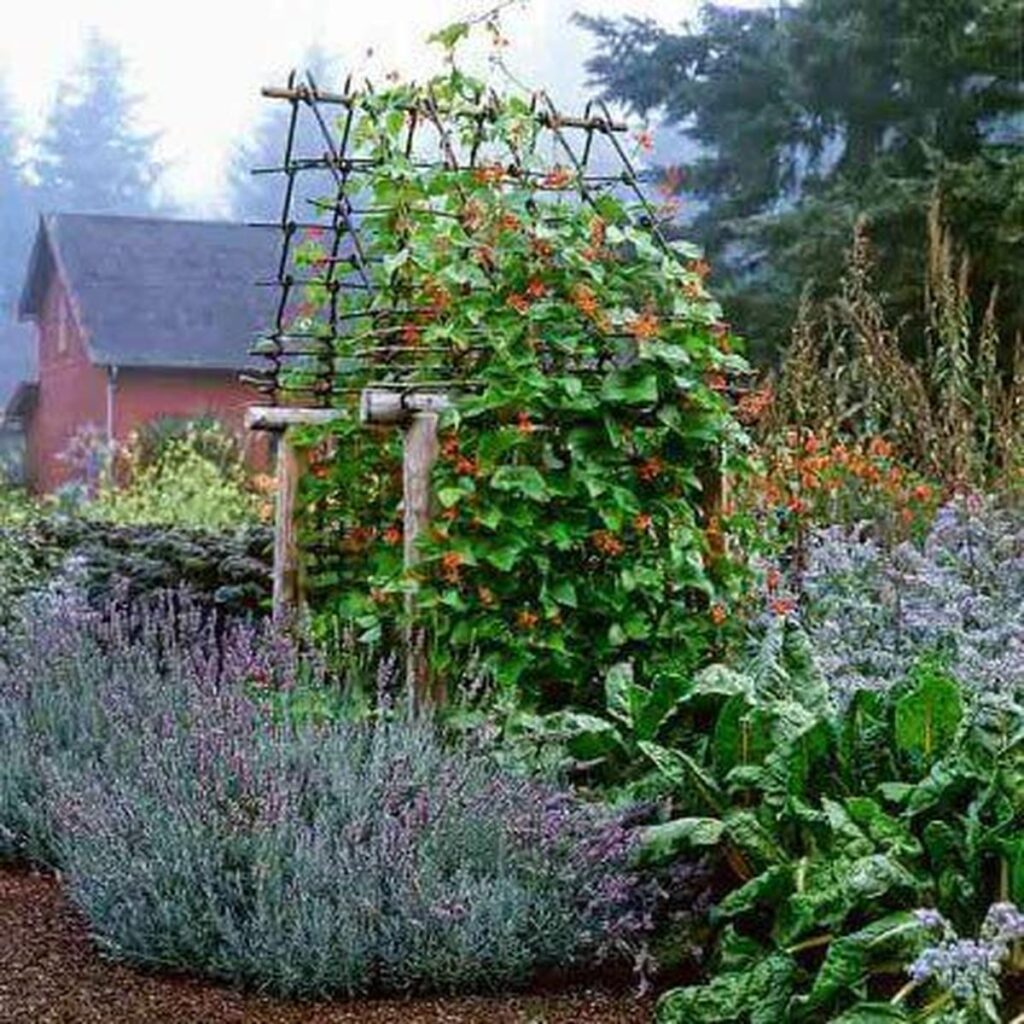 22 Best Twig Garden Projects for a Budget-Friendly Yard