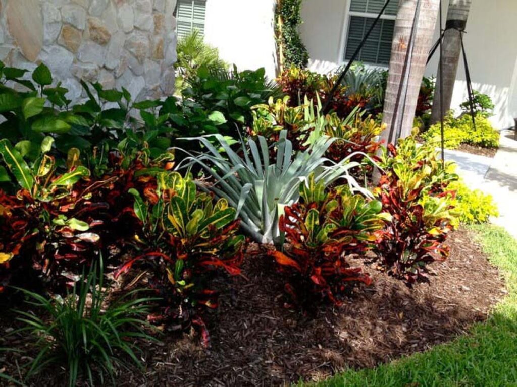 21 Dazzling Croton Landscaping Ideas for Every Garden