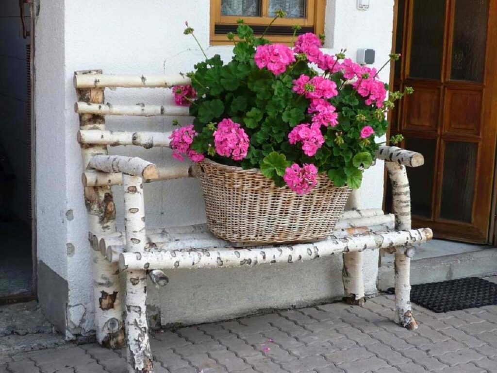 34 Inspiring Geranium Landscapes for a Flowering Garden