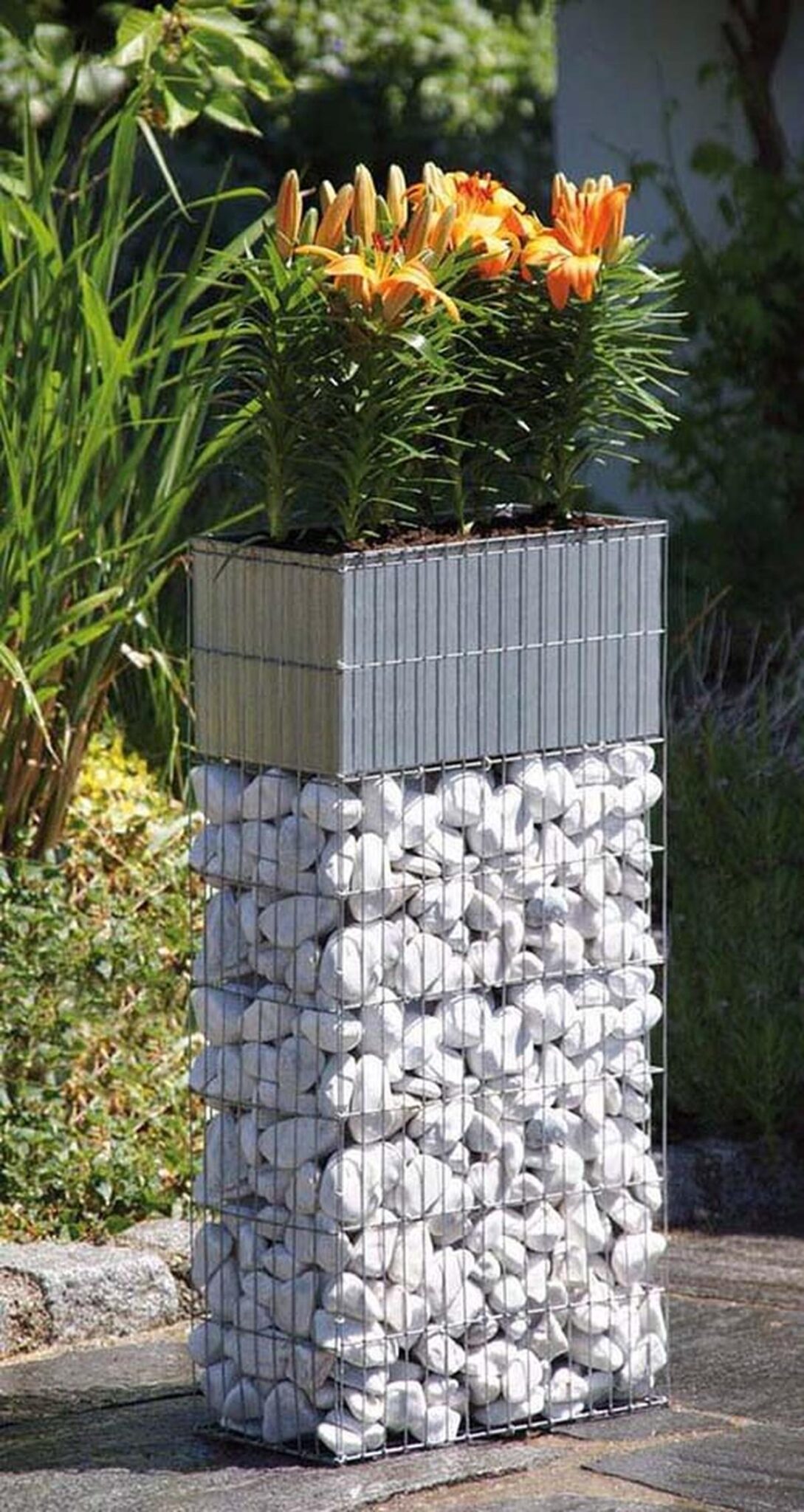 29 Best Gabion Planter Ideas for Your Garden