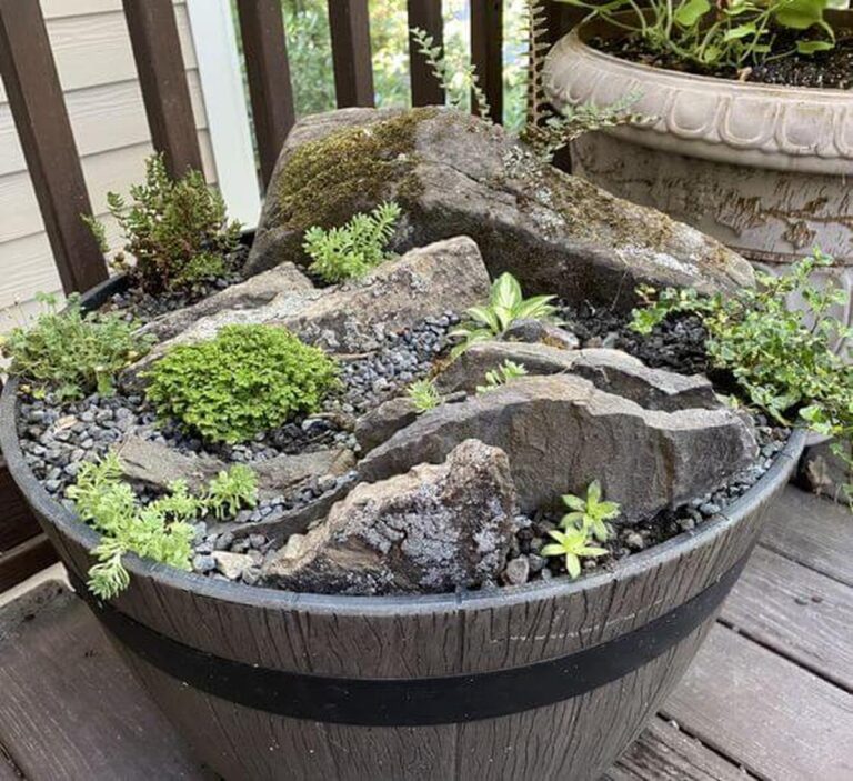 20 Stunning Rock Projects to Transform Small Gardens