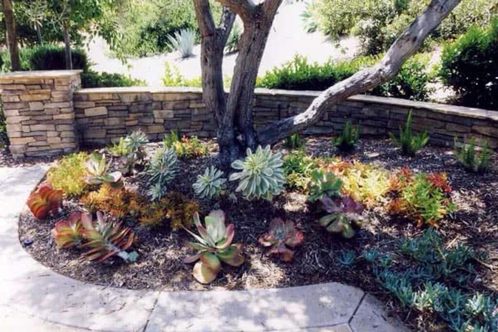 29 Stunning Tree Landscaping Ideas