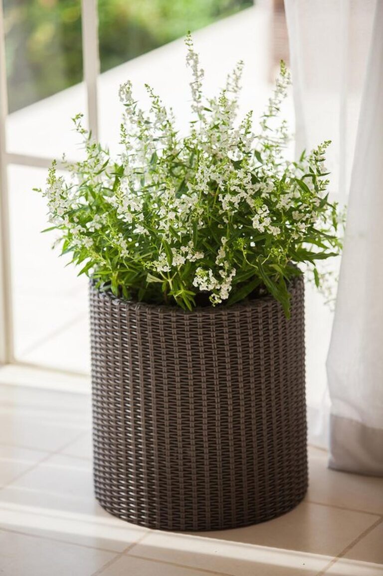 41 Creative Flower Pot Ideas for Stunning Displays