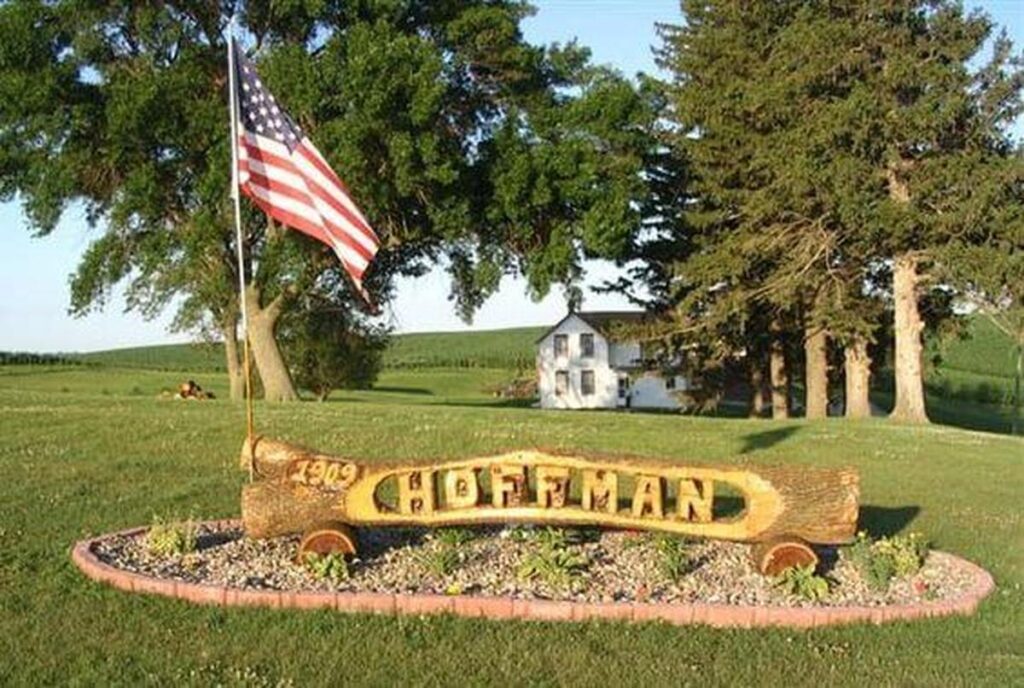 26 Fun DIY Wood Log Projects for Your Garden