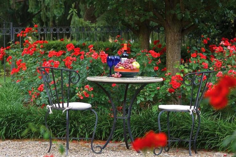 34 Inspiring Geranium Landscapes for a Flowering Garden