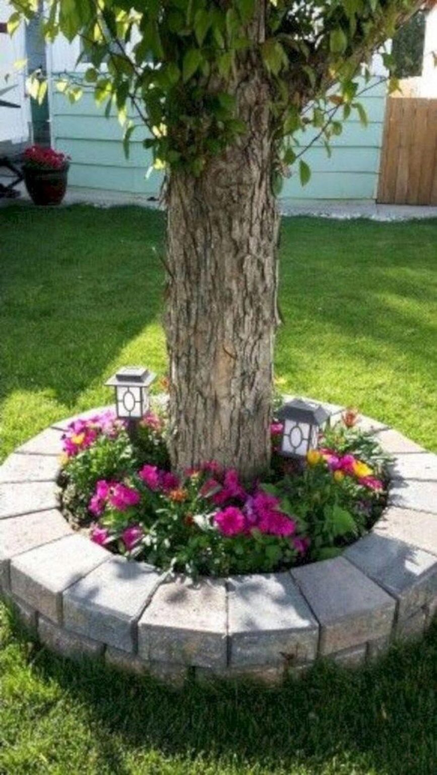 18 Best Tree Edging Ideas for a Lovely Garden