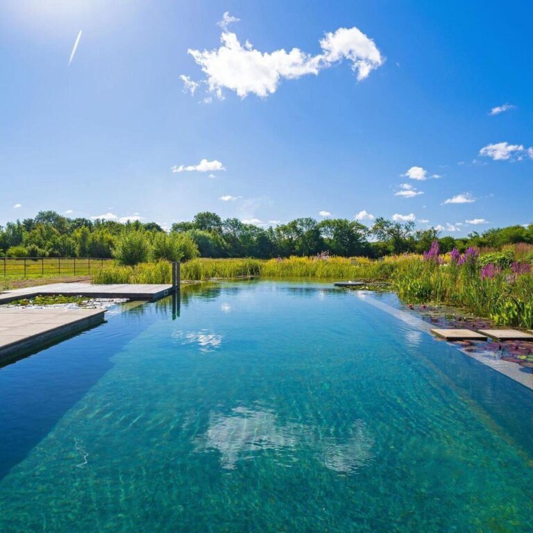 24 Stunning Natural Swimming Pond Ideas for a Relaxation Oasis