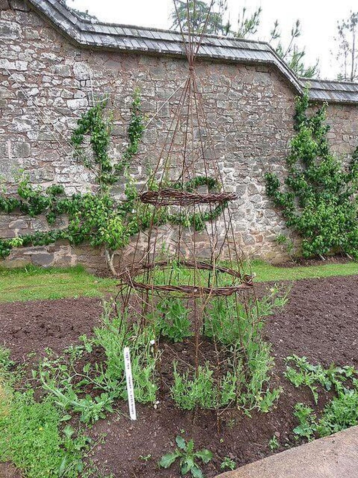 22 Best Twig Garden Projects for a Budget-Friendly Yard