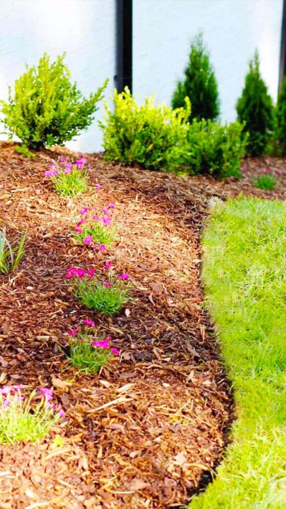 24 Eye-Catching Small Gardens for Stunning Fronts