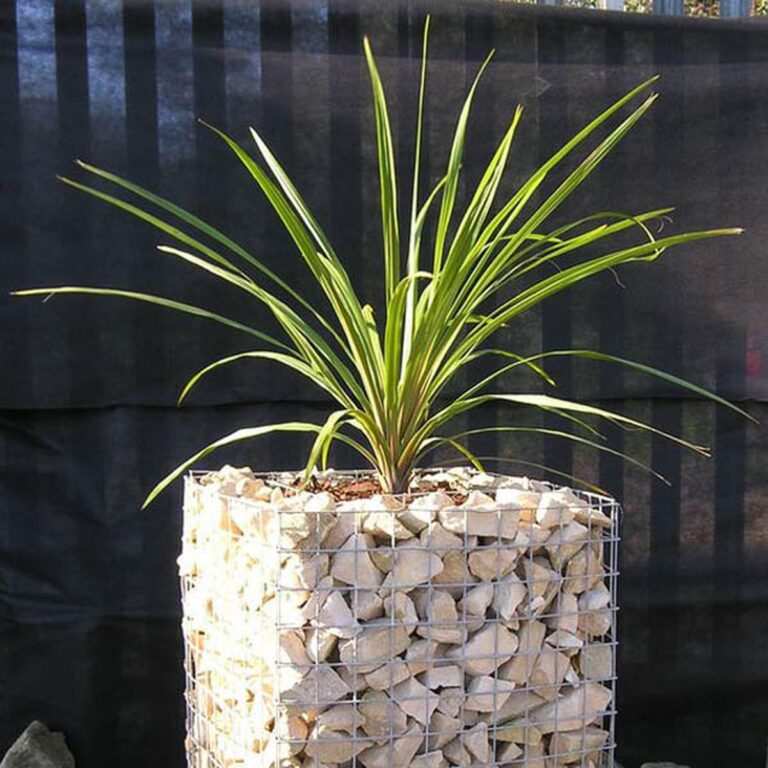 29 Best Gabion Planter Ideas for Your Garden