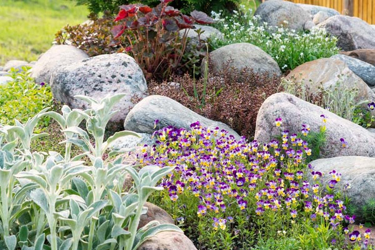 12 Popular Types of Landscaping Rocks for a Stunning Landscape Design