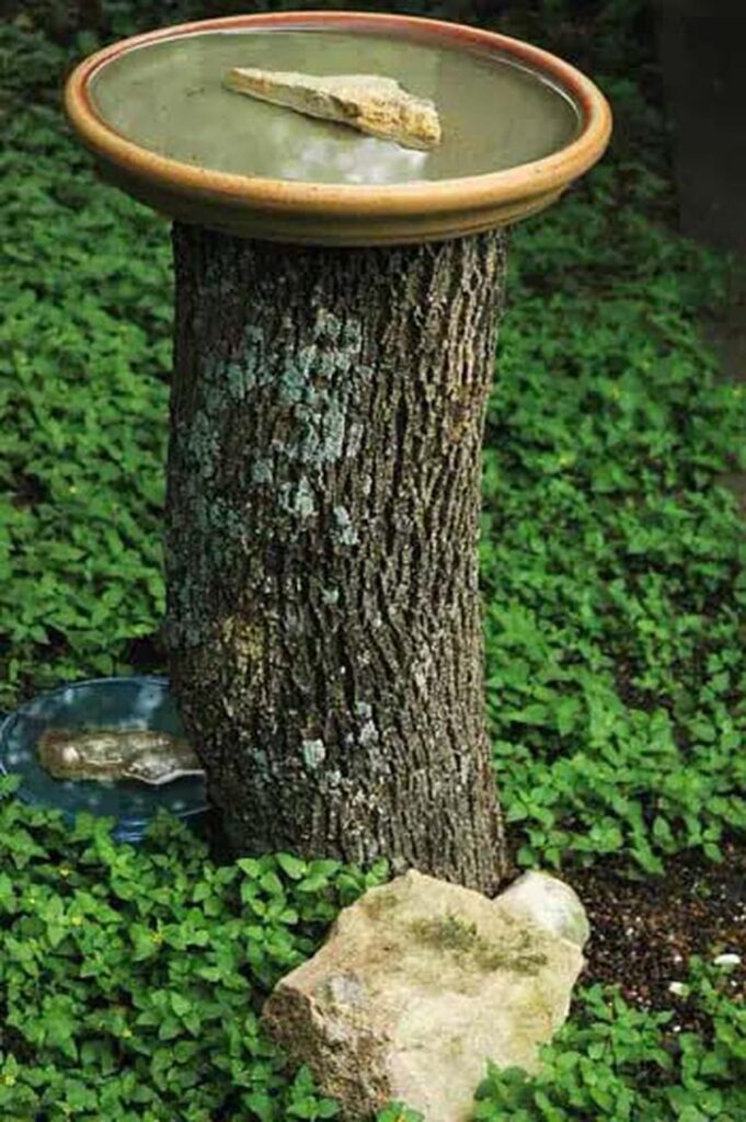 30 Innovative Tree Stump Decorations for Outdoor Spaces