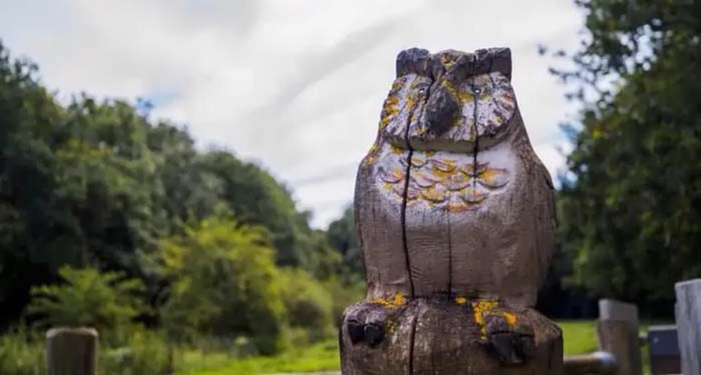 30 Innovative Tree Stump Decorations for Outdoor Spaces