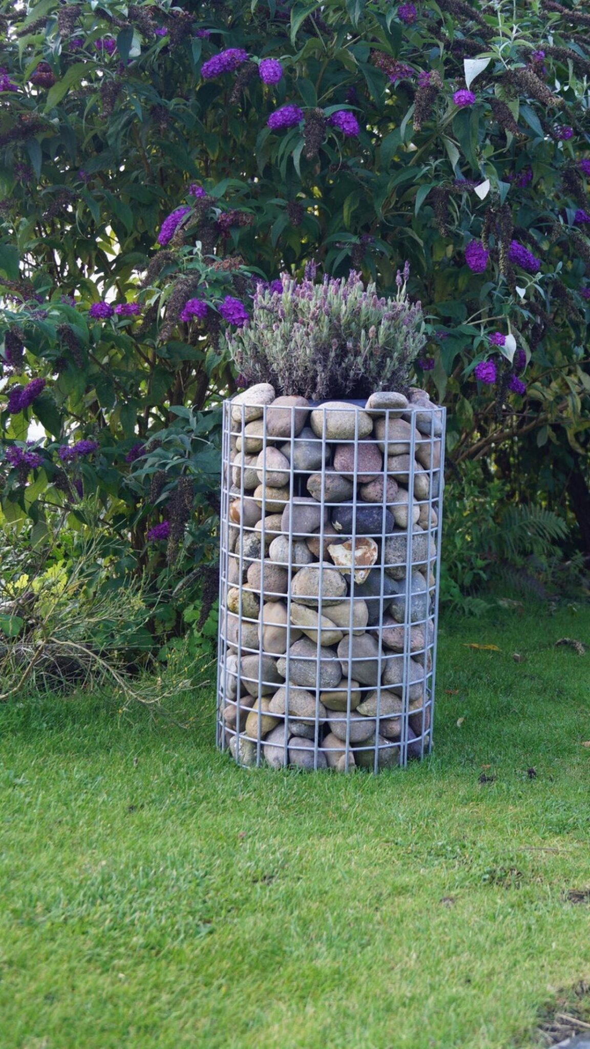 20 Beautiful Gabion Garden Projects to Elevate Your Outdoor Space