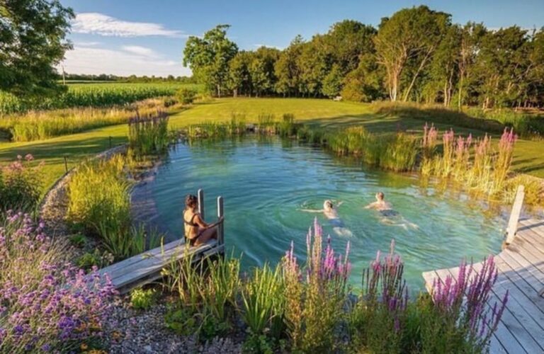 24 Stunning Natural Swimming Pond Ideas for a Relaxation Oasis