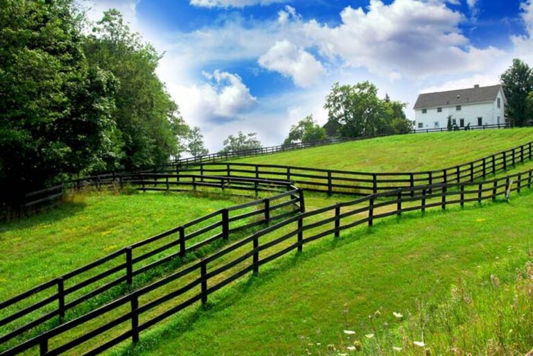 24 Gorgeous Farmhouse Fence Ideas for a Perfect Rustic Touch