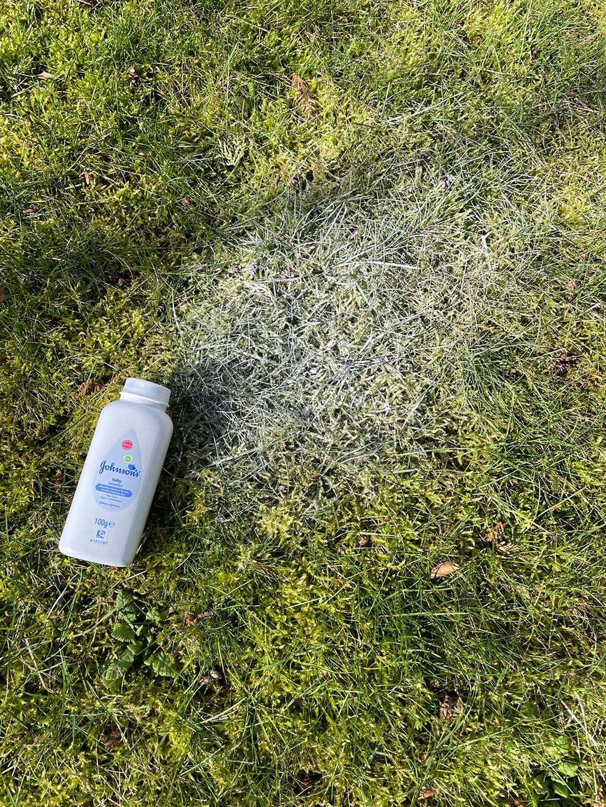 12 Garden Hacks Using Baby Powder