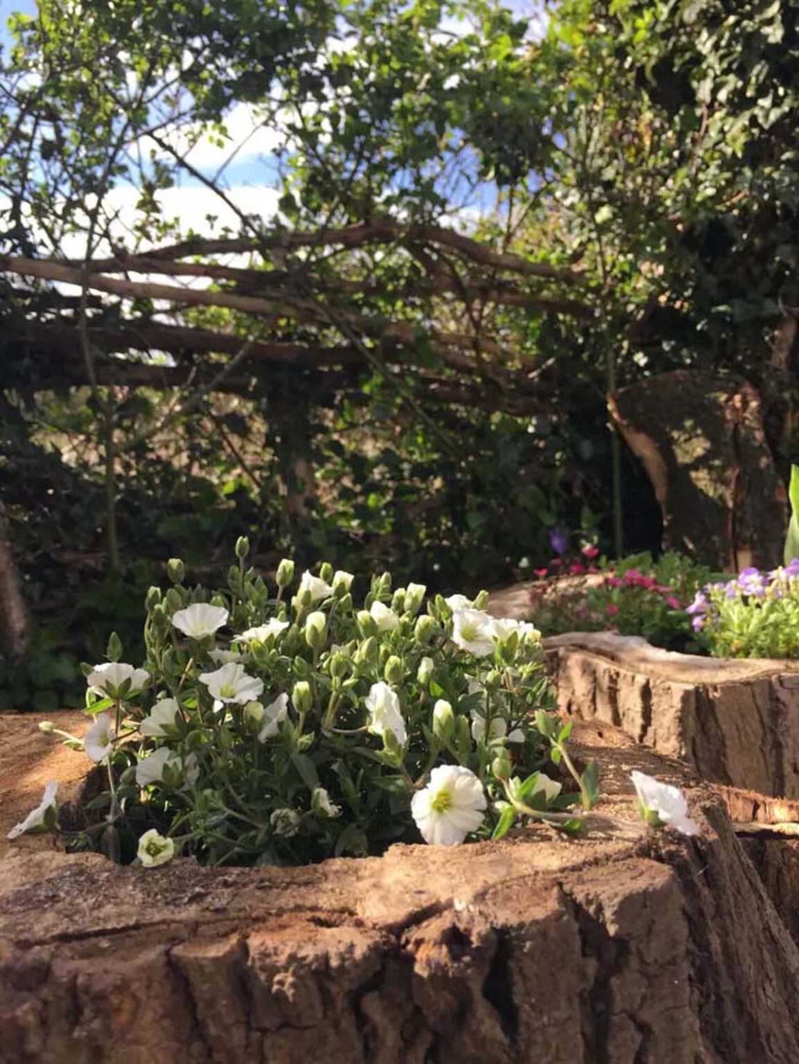 30 Innovative Tree Stump Decorations for Outdoor Spaces