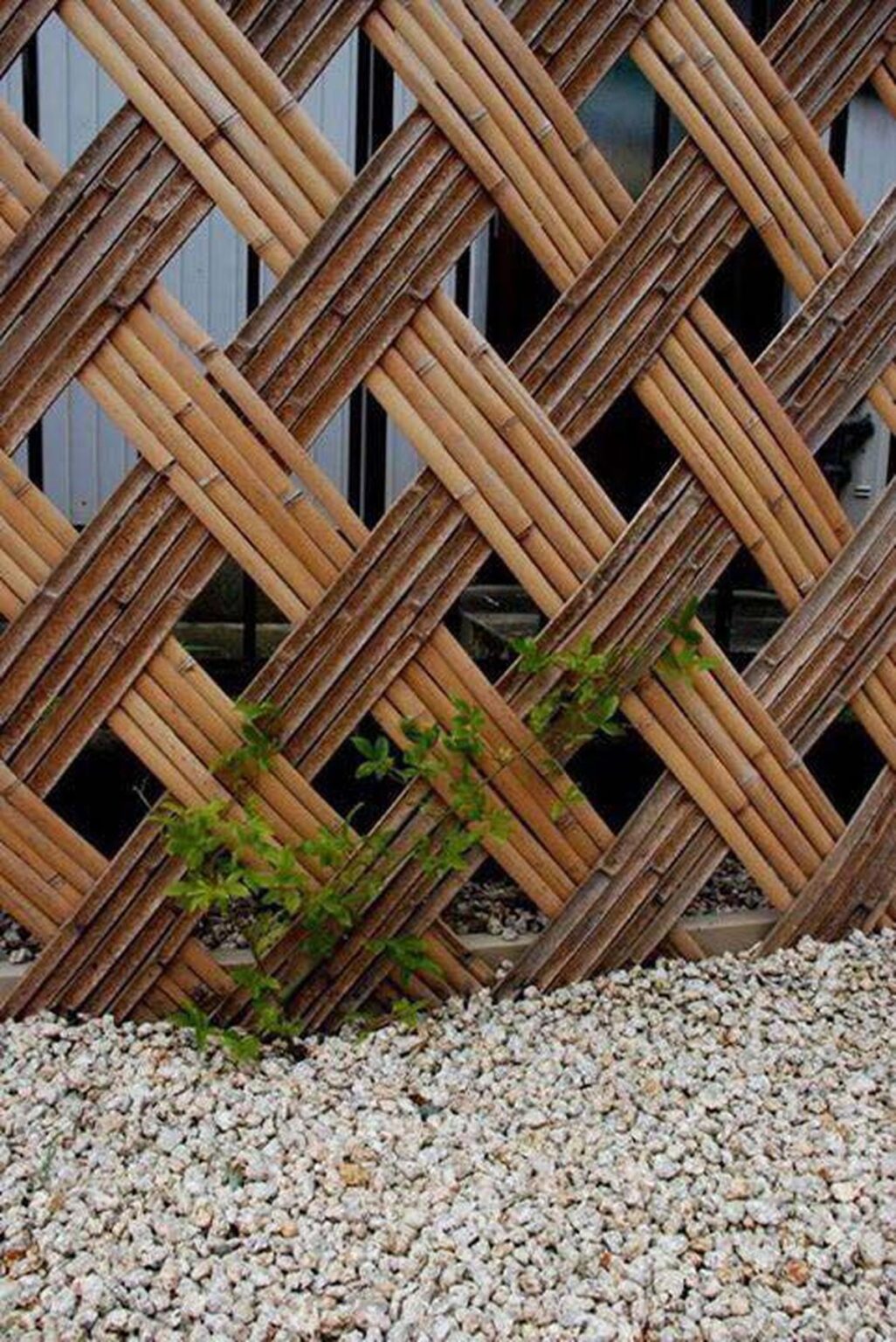 37 Beautiful Bamboo Fence Designs to Transform Your Outdoor Space