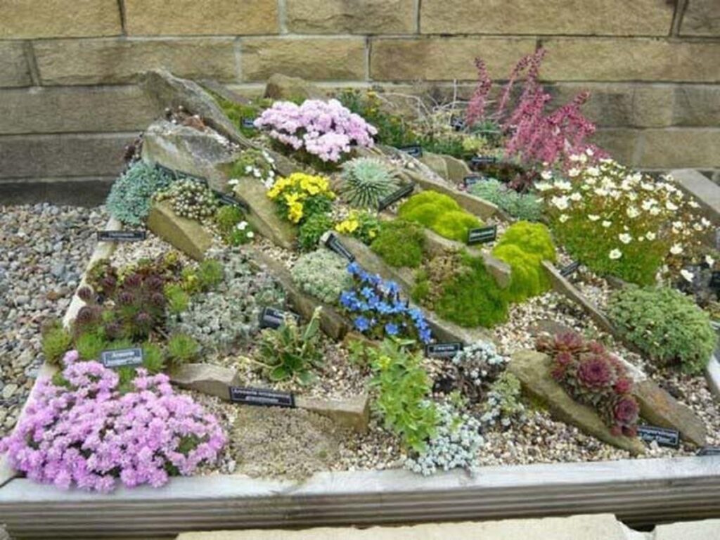 20 Easy Small Rock Garden Designs for Low Maintenance