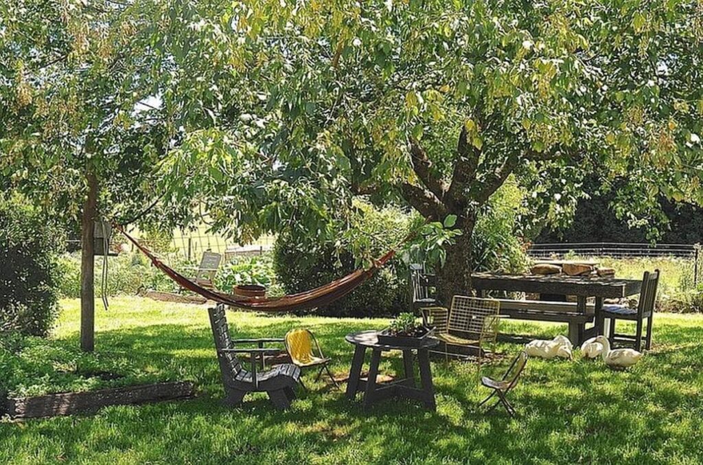 15 Dreamy Backyard Hammock Setups for Relaxation