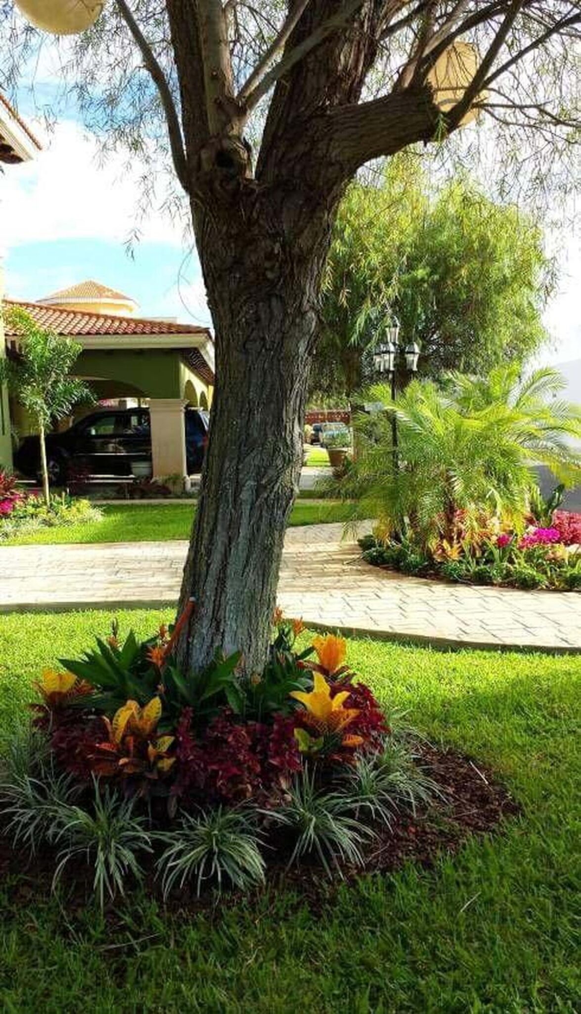 21 Dazzling Croton Landscaping Ideas for Every Garden