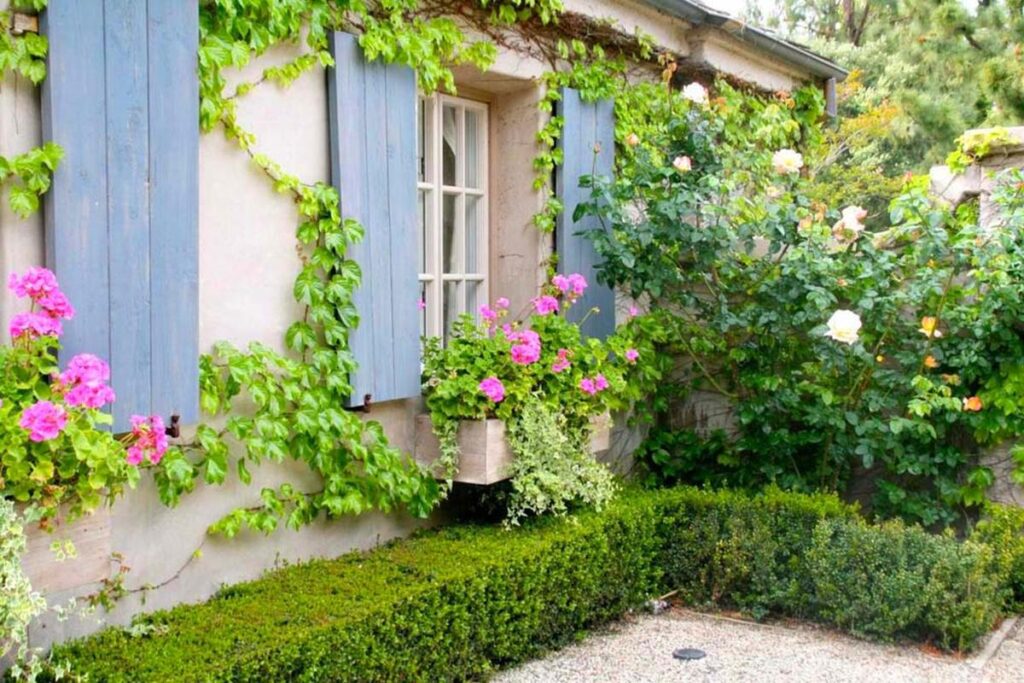 34 Inspiring Geranium Landscapes for a Flowering Garden