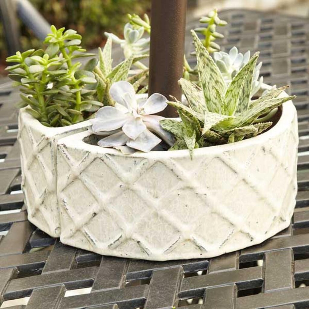 41 Creative Flower Pot Ideas for Stunning Displays