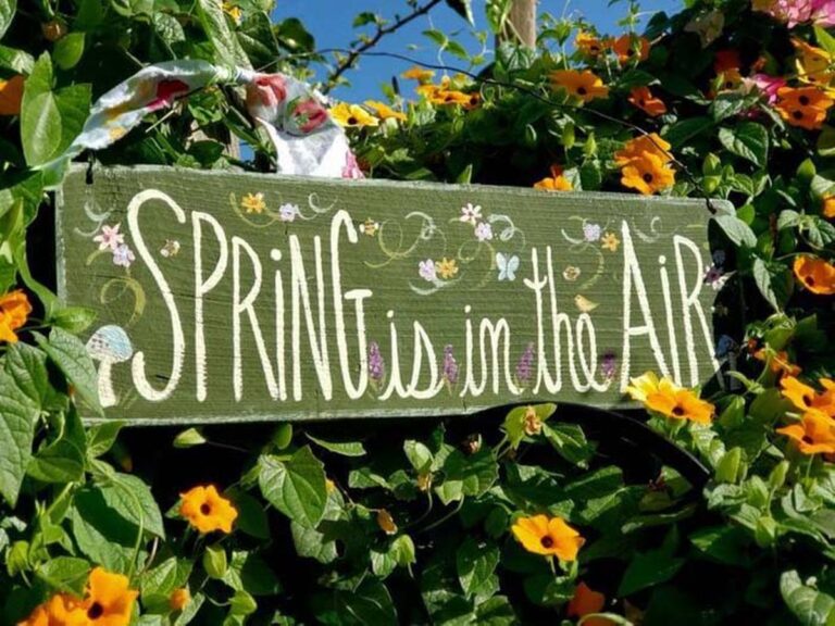 25 Stunning Outdoor Decor Ideas for Spring