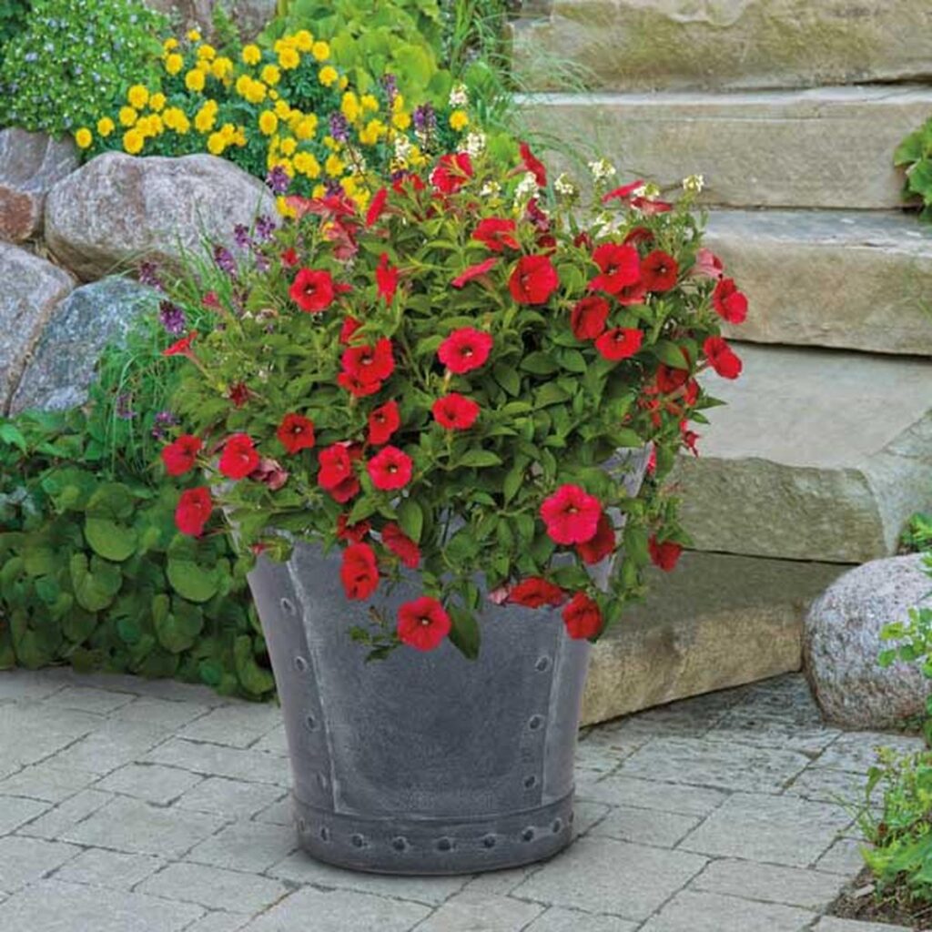 41 Creative Flower Pot Ideas for Stunning Displays