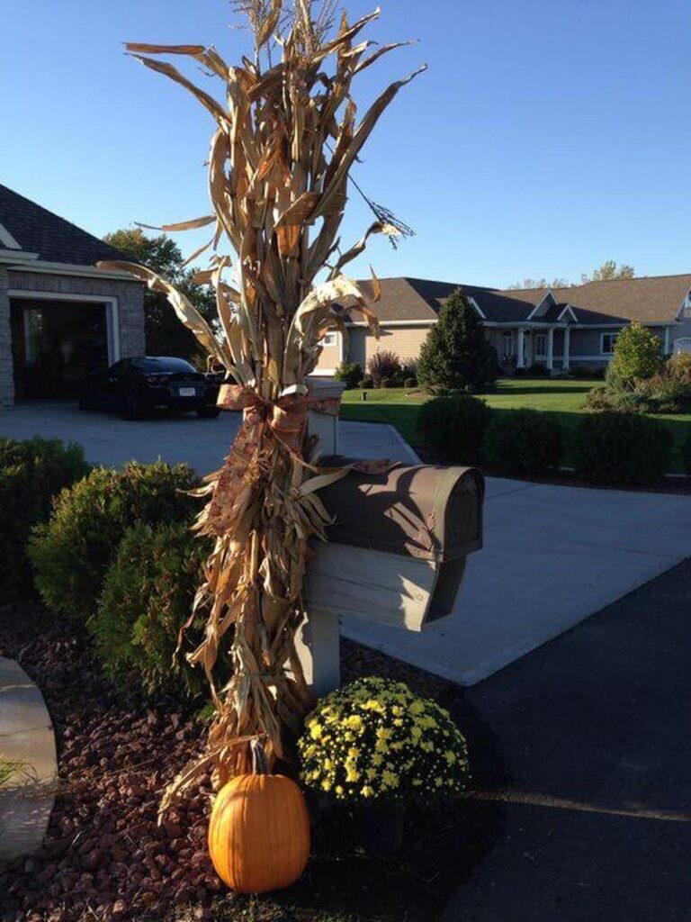 26 Best Fall Yard Decor Ideas for a Stunning Outdoor