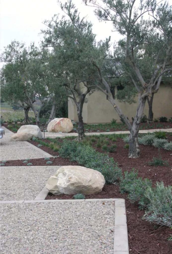 29 Stunning Tree Landscaping Ideas