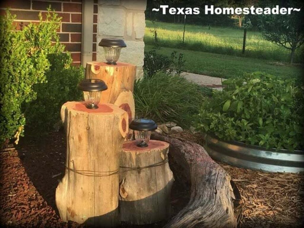 27 Brilliant Solar Light Ideas to Illuminate Your Garden with Style