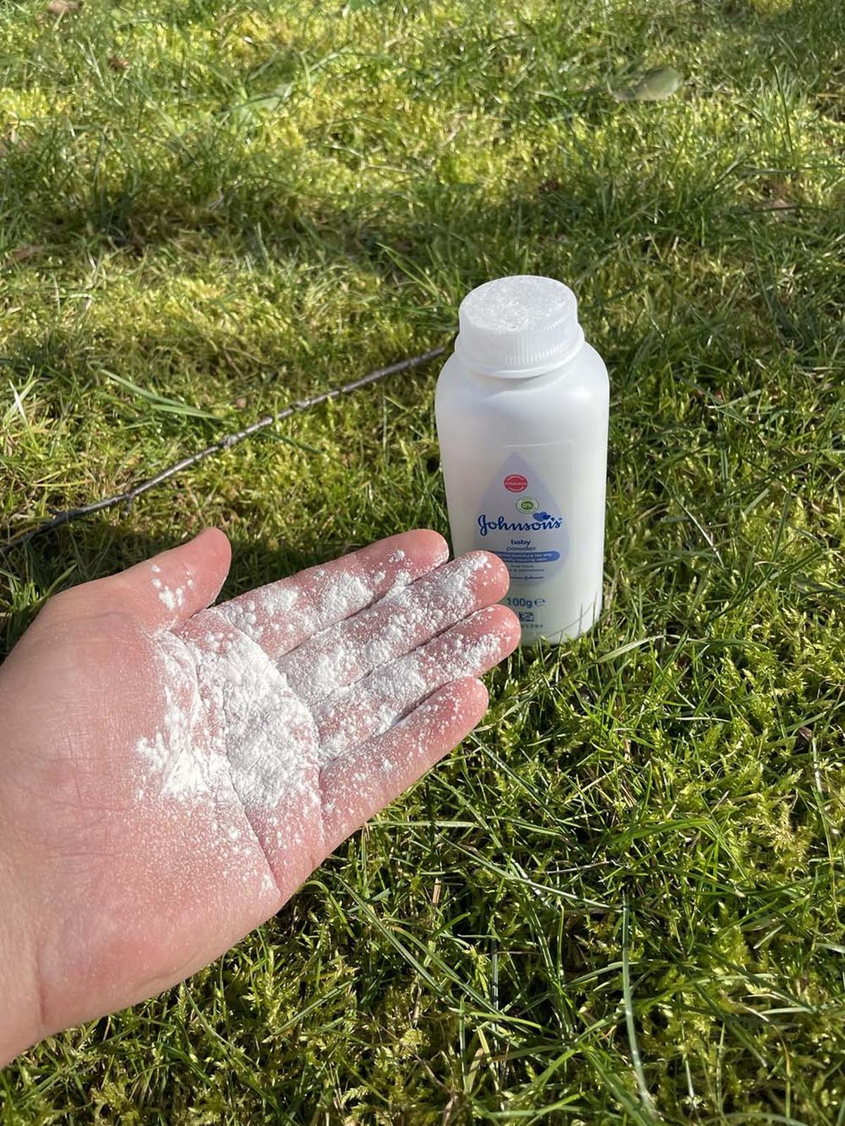 12 Garden Hacks Using Baby Powder