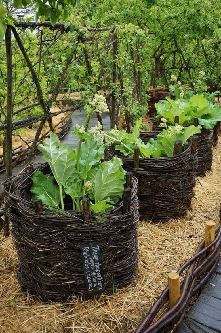 22 Best Twig Garden Projects for a Budget-Friendly Yard
