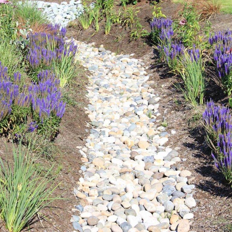 21 Creative Front Yard Drainage Ditch Ideas for Managing Rainwater