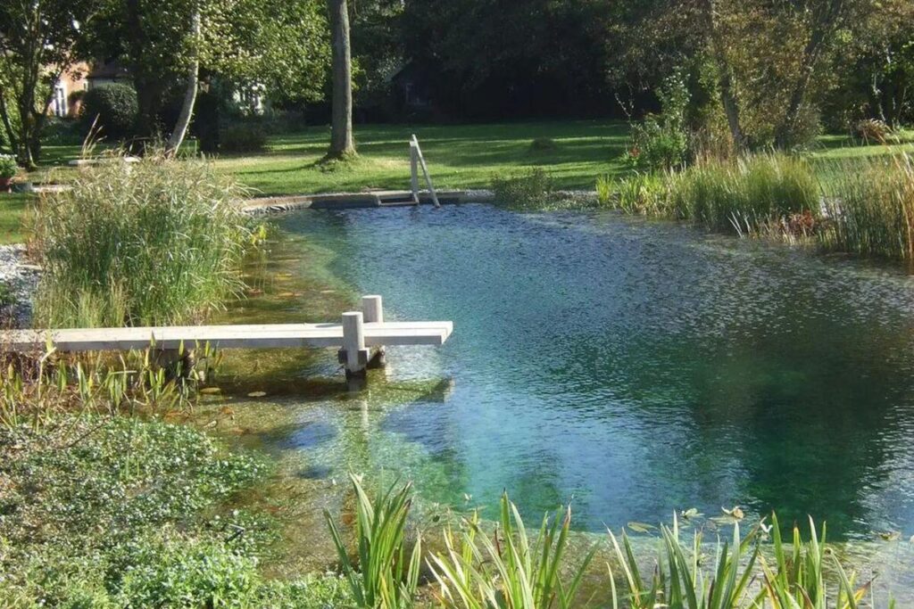 24 Stunning Natural Swimming Pond Ideas for a Relaxation Oasis