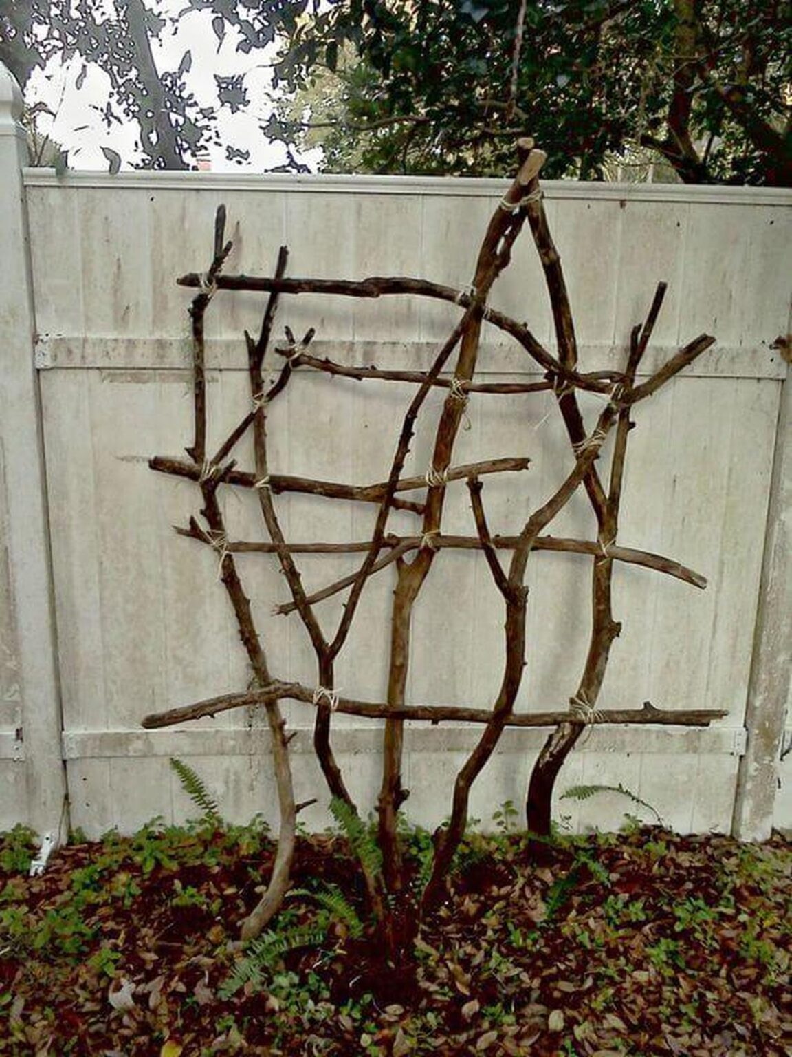 22 Best Twig Garden Projects for a Budget-Friendly Yard