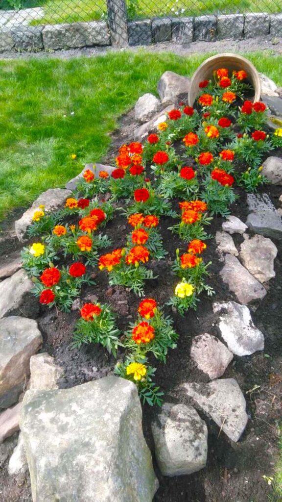 24 Eye-Catching Small Gardens for Stunning Fronts