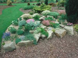 26 Gorgeous Small Corner Rock Garden Ideas for a Serene, Natural Look