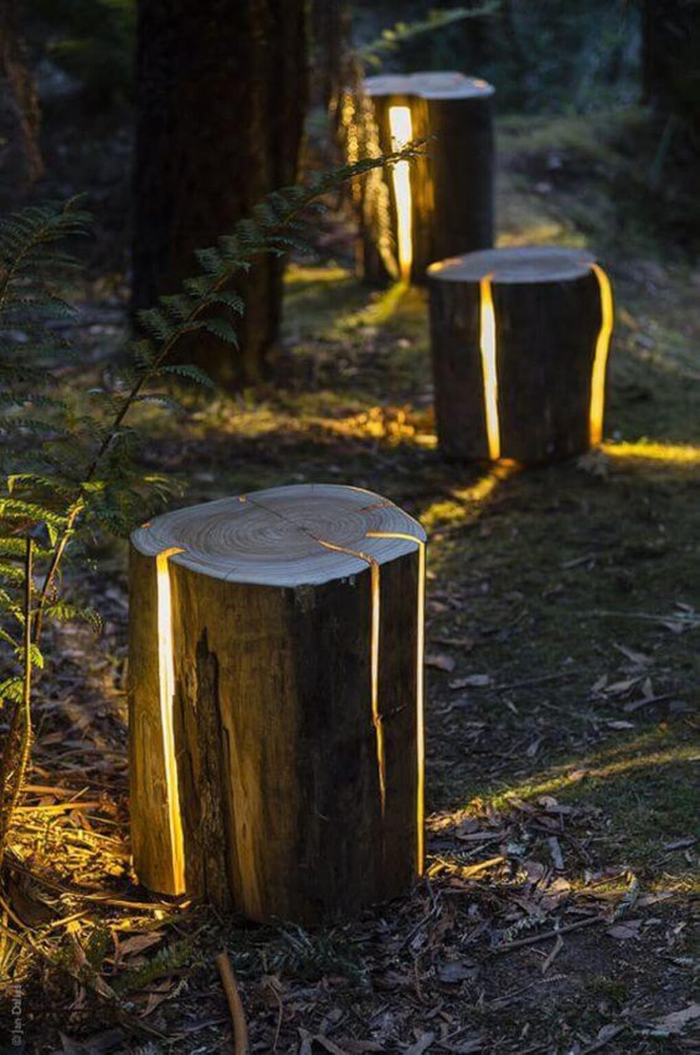 26 Fun DIY Wood Log Projects for Your Garden