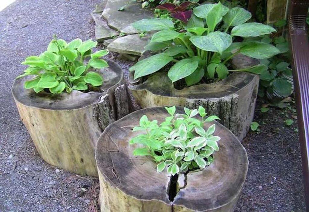 30 Creative Tree Stump Planter Ideas You’ll Love