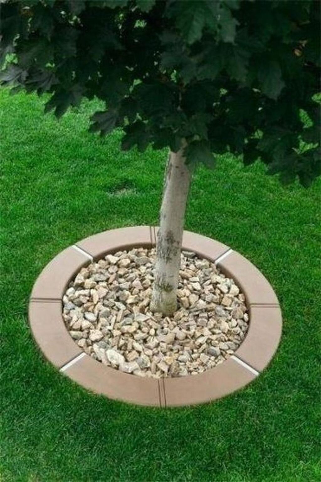 18 Best Tree Edging Ideas for a Lovely Garden