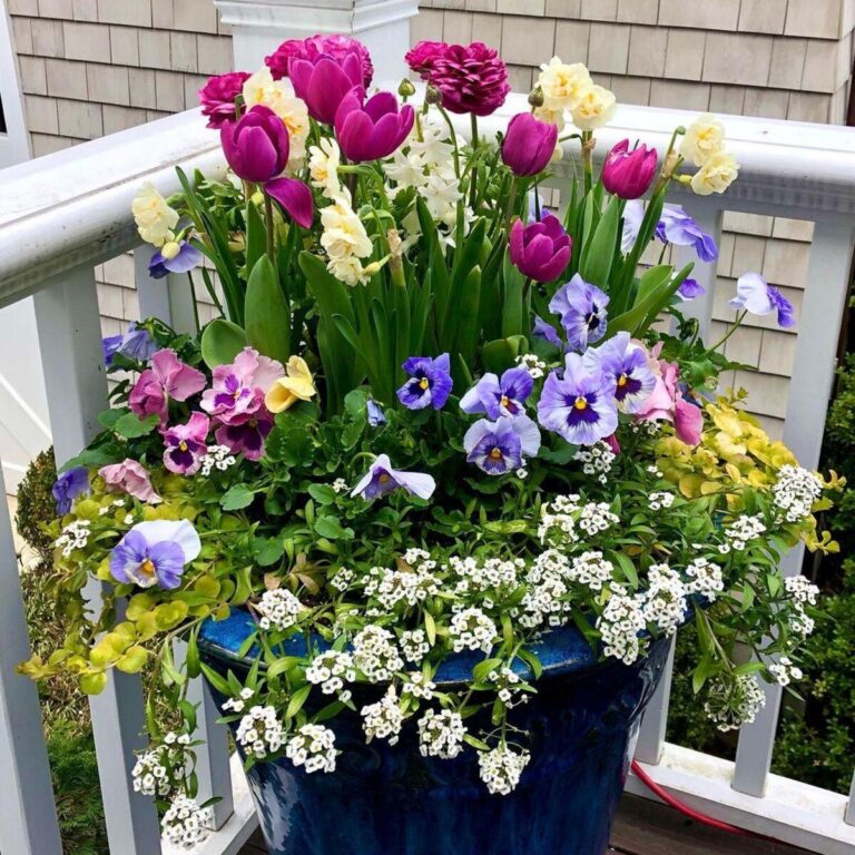 24 Beautiful Spring Planter Ideas for Garden Charm