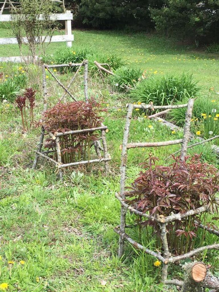 22 Best Twig Garden Projects for a Budget-Friendly Yard