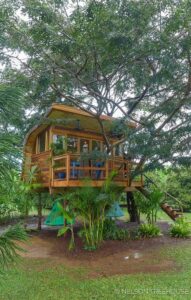 21 Best Small Backyard House Ideas for Fun and Relaxation