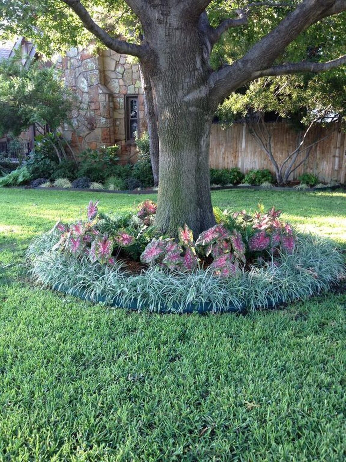 18 Best Tree Edging Ideas for a Lovely Garden