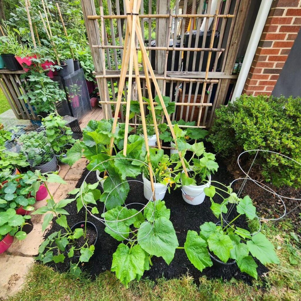 18 DIY Trellis Designs to Elevate Your Garden