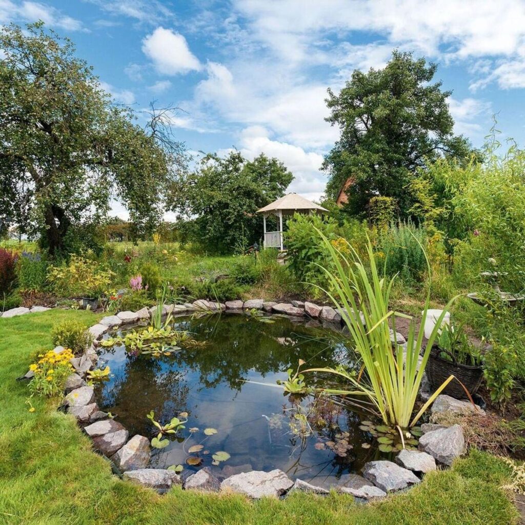 28 Tranquil Backyard Ponds to Create a Water Haven