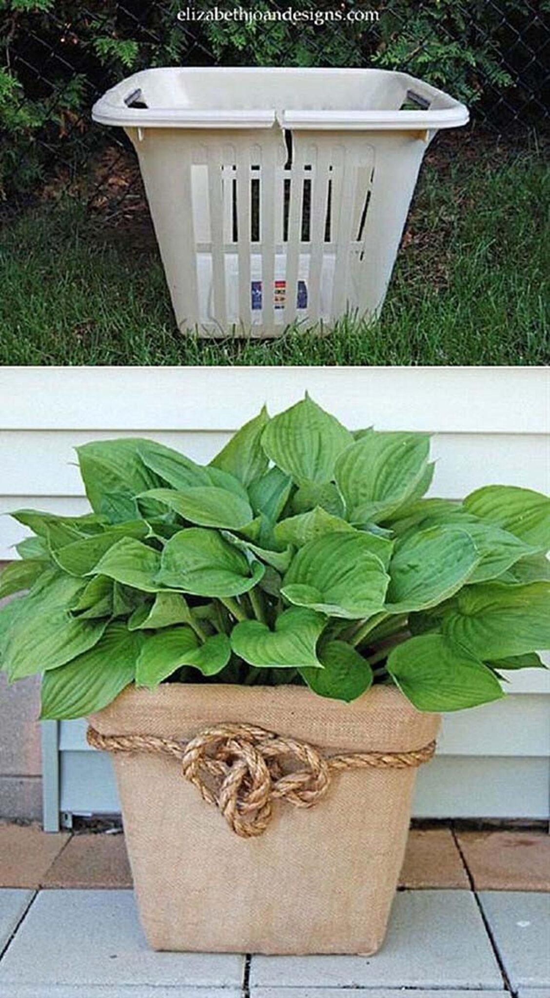 64 Inspiring DIY Container Gardens for Your Backyard